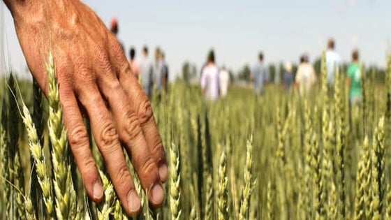 lesson5-computernumbersystems-240820144803-c13fa3b9.pptx