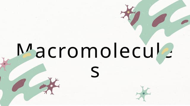 Micromolecules and Macromolecules | PPTX
