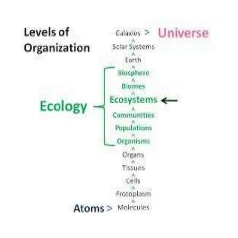 Ecosystem environmental studies unit:2 | PPT