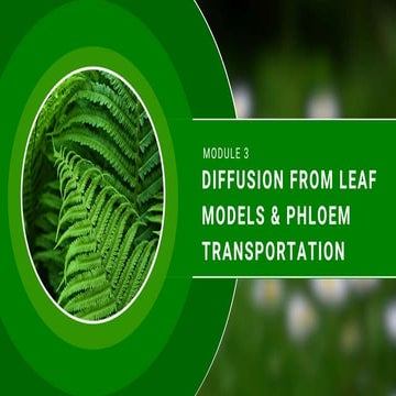 Module- 3 notes araling panlipunan .pptx