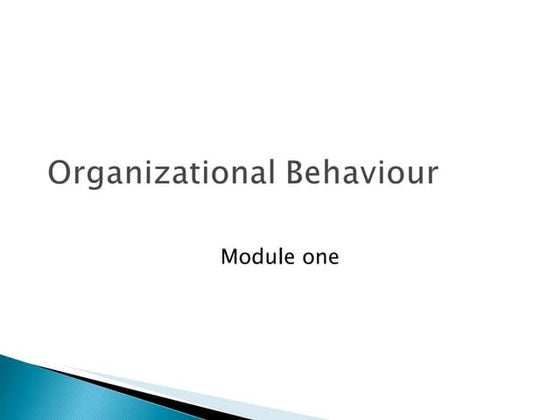Chapter 1 what is organizational behaviour | PPT | Business ...