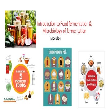 Fermented food products diary, vegetable and meat | PPTX