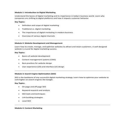 DIGITAL MARKETING FULL NOTES 2024.FREE PDF | PDF