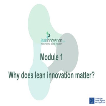 Lean Innovation for Micro Enterprises Module 1 Why does lean innovation ...