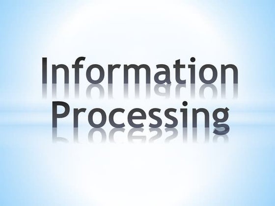 Information processing | PPT
