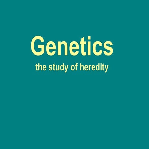 Biology 103 Laboratory Exercise – Genetic Problems .docx