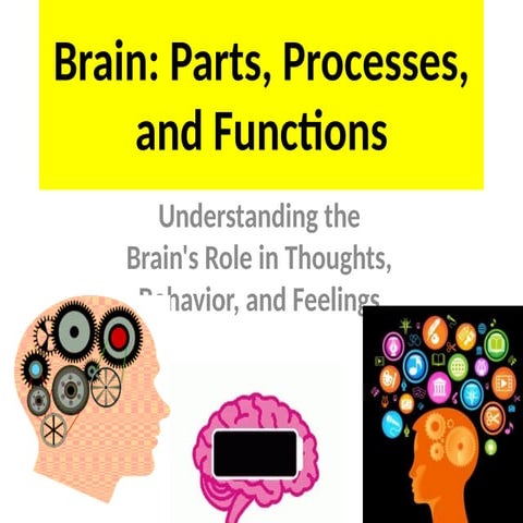 PERSONAL DEVELOPMENT MODULE 11-BRAIN PARTS.pptx
