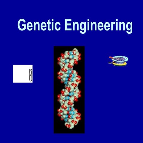 Module 11, lesson 1 | PPT