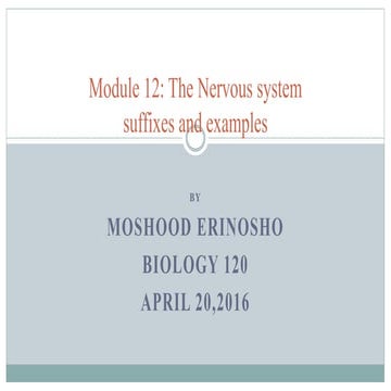 Nervous System Ailments & Function | PPTX