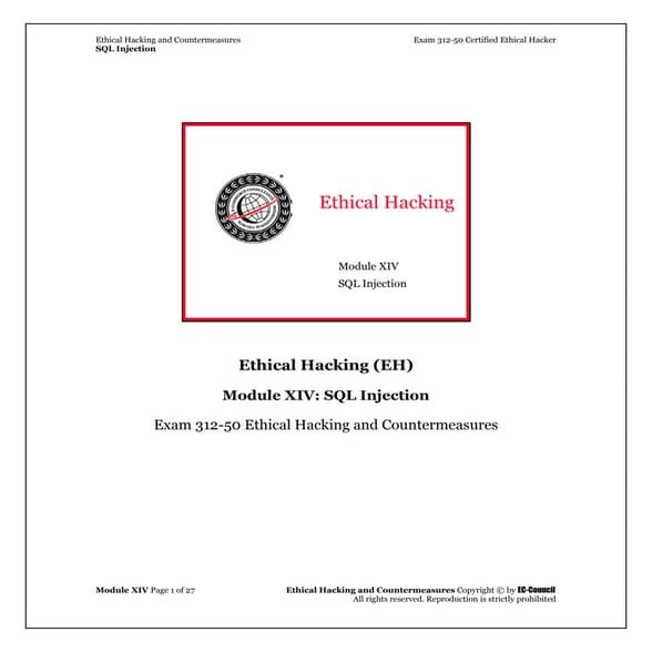 Module 14 (sql injection) | PDF