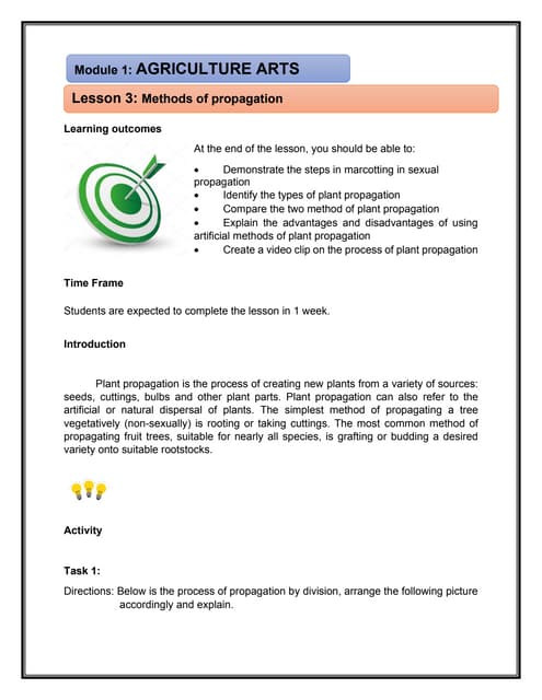 Grade 6 Agriculture Plant Propagation.pptx