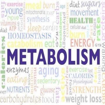 Introduction to metabolism | PPT