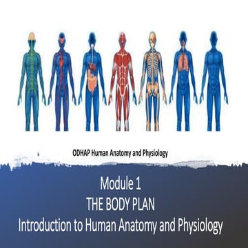 Module 1_The Body Plan_Introduction to Human Anatomy and Physiology.pdf