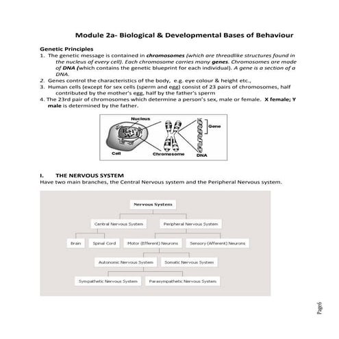 Module 2 biological bases of behaviour | DOC