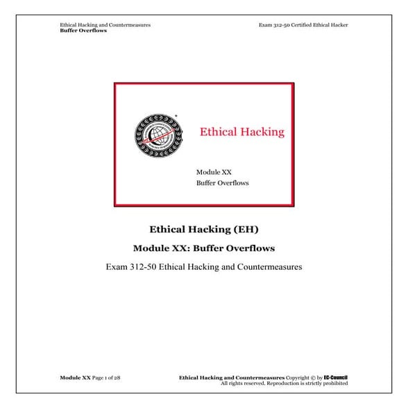 Module 20 Buffer Overflows Pdf