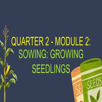 Seed Germination Testing using rag-doll and seed box method | PPTX