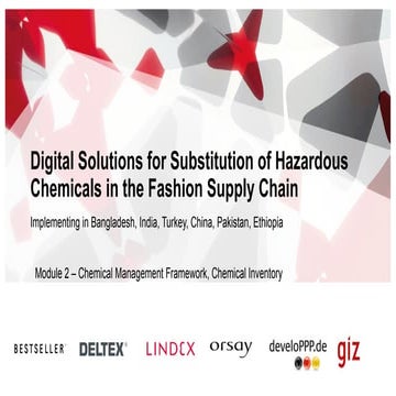 PEACE AND ORDER AND PUBLIC SAFETY PLAN STEP H PROJECT PROGRAMS AND ...