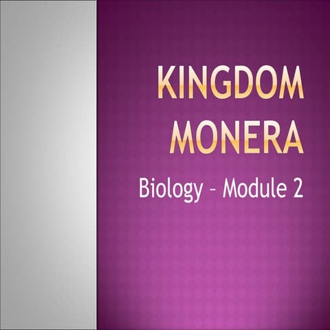 Module 2 kingdom monera | PPT