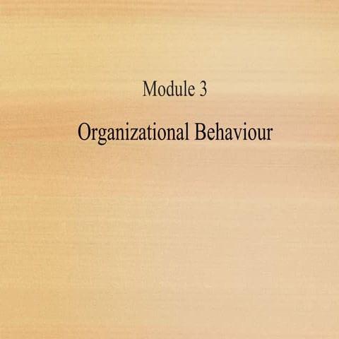 Organizational behavior | PPT