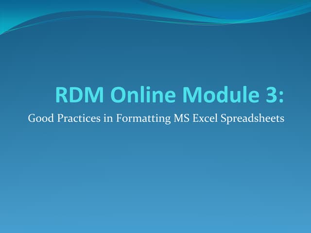 Good Practices In Formatting Ms Excel Spreadsheets Ppt