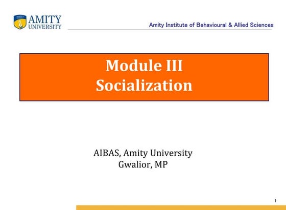 Socialization | PPT