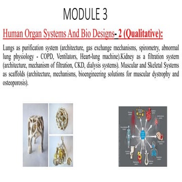 HUMAN ORGAN SYSTEMS AND BIO-DESIGNS - 2 (QUALITATIVE)_.pptx