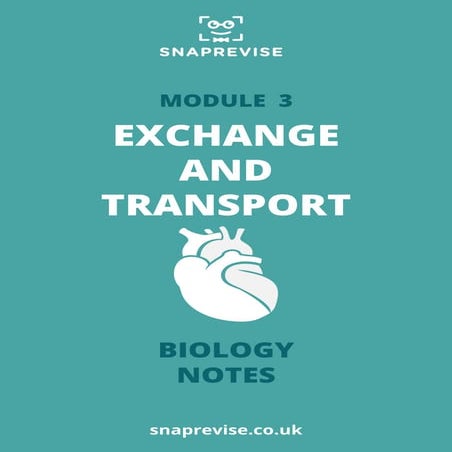 A-level OCR Biology Notes: Exchange & Transport (Module 3) | PDF