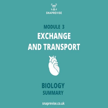 A-level OCR Biology Past Paper Summary: Exchange & Transport (Module 3 ...