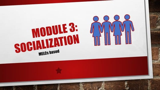 Socialization | PPT