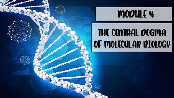 Central dogma of molecular biology | PPT