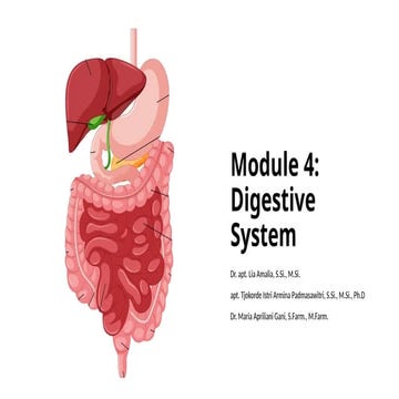 Module 4 Digestive System - Technical Explanation.pptx