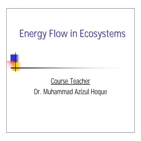 Module 4 energy flow in ecosystems | PDF