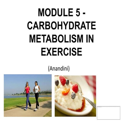 Module 5 mcc sports nutrition credit course- carbohydrate metabolism in ...