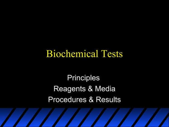 Identifying Unknown Bacteria Lab | DOCX | Chemistry | Science