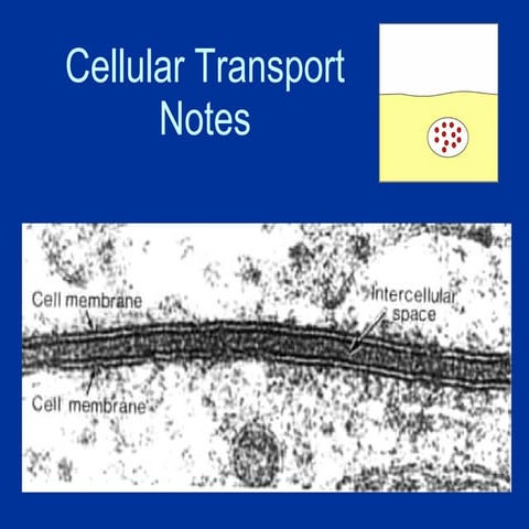 Module 5, lesson 1 cell transport power point 1 | PPT