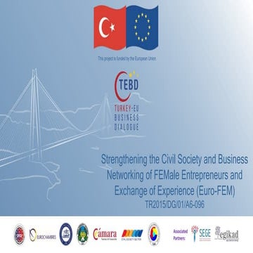 Euro-FEM Module 5: Promotion and Dissemination Planning | PPTX