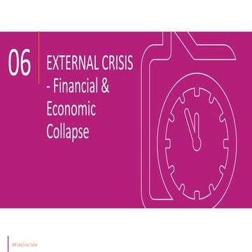 Module 6 - External Crisis – Financial & Economic Collapse.pptx