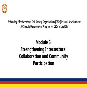 Enhancing CSO Effectiveness through Intersectoral Collaboration and ...