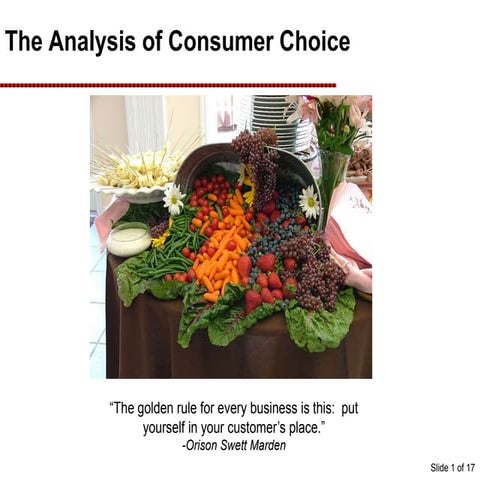The Analysis of Consumer Choice | PPSX