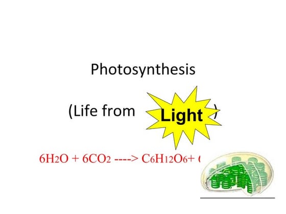 Understanding Photosynthesis3 | PPT