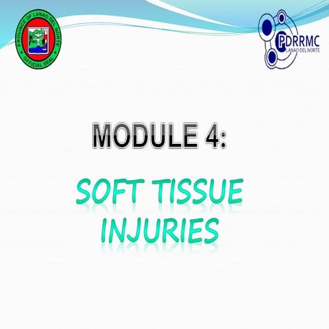 Module 6 Soft Tissue Injuries first aid training | PPT