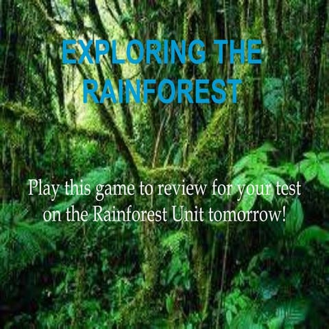 ANIMAL HABITAT AT RAIN FOREST | PDF