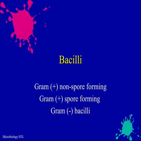 Module 7 bacilli | PPT | Infectious Diseases | Diseases and Conditions