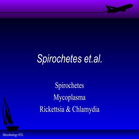 Module 8a spirochetes | PPT