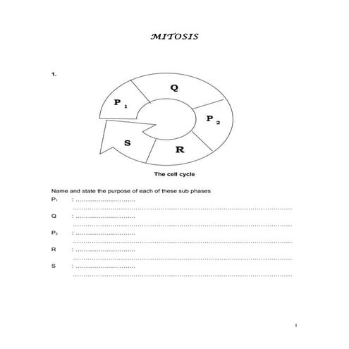 Module biology chapter5 student | PDF