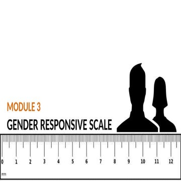Gender-Responsiveness and Social Inclusion (GESI) at the Subnational ...