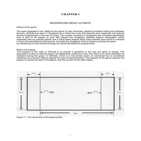 Modul frisbee[1] | DOCX