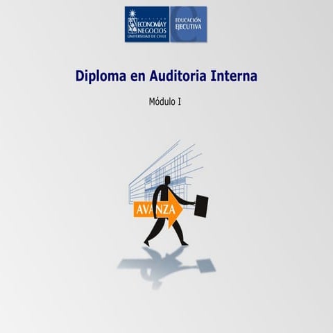 internal-audit-competency-framework-spanish.pdf