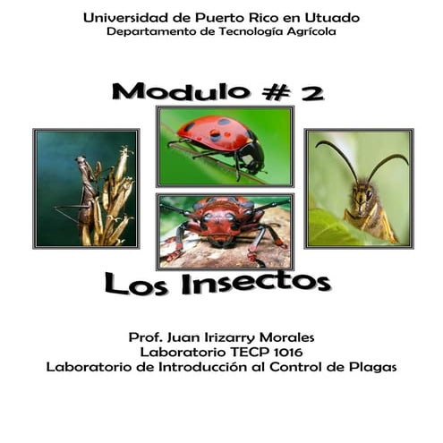 Modulo 2 los insectos rev | PDF