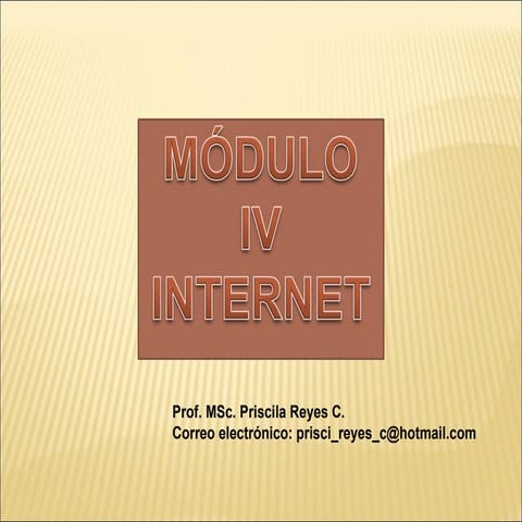 Investigaciones de Internet | PDF